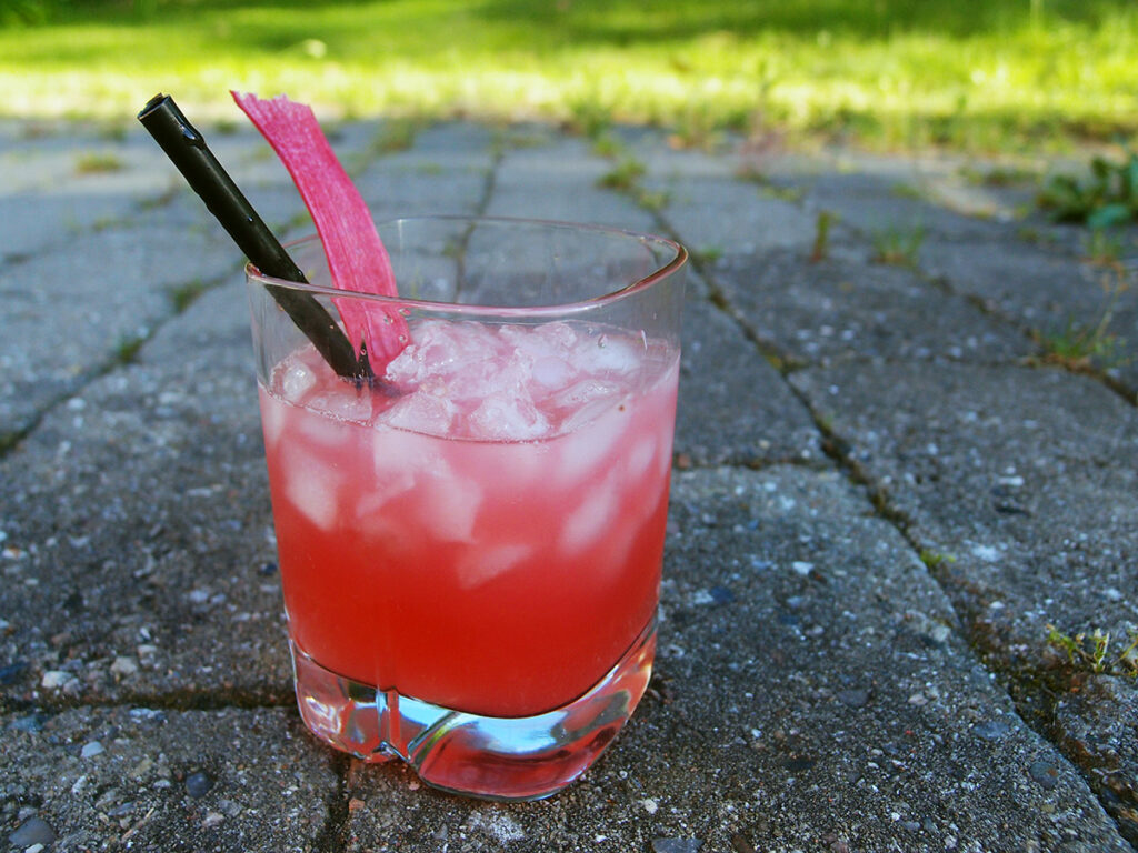 Rabarber Gin & Tonic - Piskeriset på Eventyr