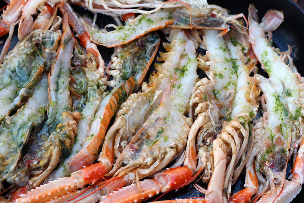 Maj: Skaldyr - Piskeriset på Eventyr